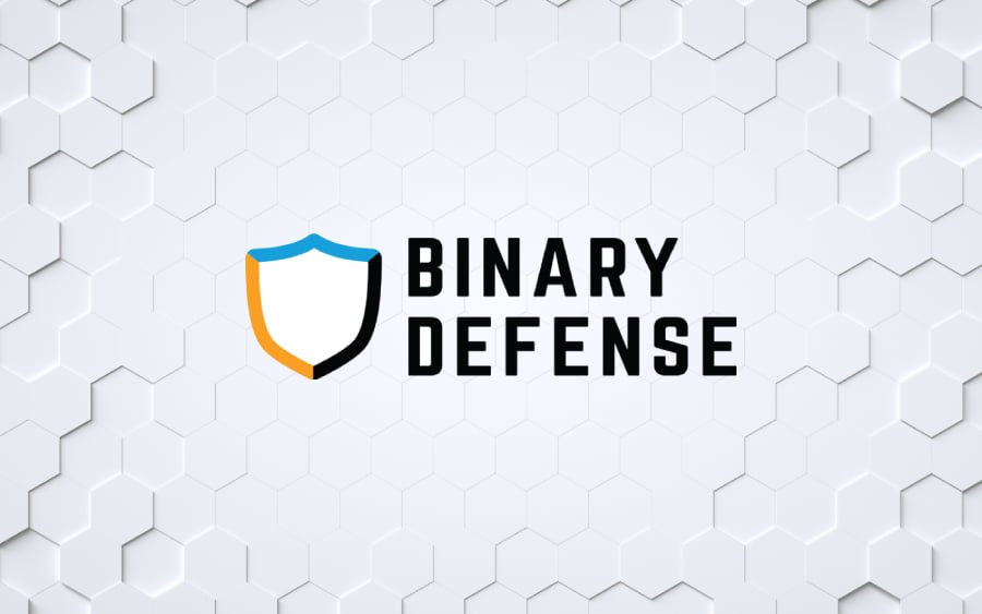 Binary Defense Taps Dennis Hon as CEO to Lead Channel Shift